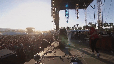 GIF by Coachella - Find & Share on GIPHY