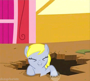 Derpy Hooves GIFs - Find & Share on GIPHY