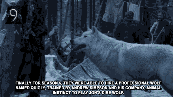 Game Of Thrones Ghost GIF by Channel Frederator - Find & Share on GIPHY