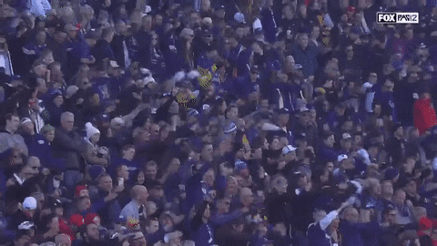 Bow Down Purple Reign GIF by Washington Athletics - Find & Share on GIPHY