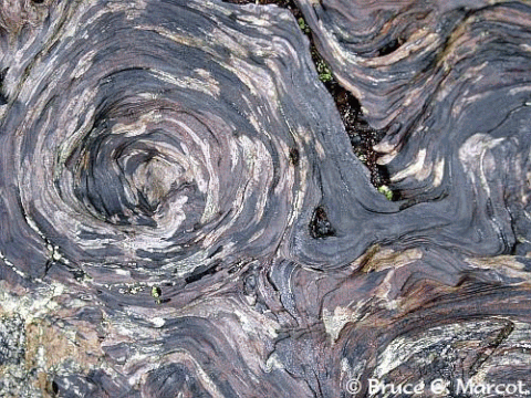 Ecology GIF - Find & Share on GIPHY