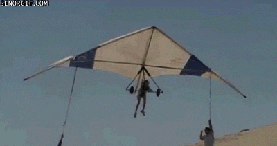 Hang Glider GIF - Find & Share on GIPHY