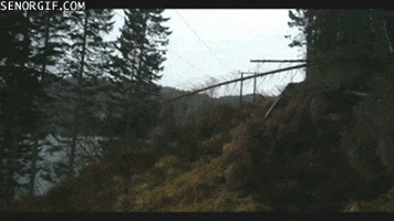 Trees Explosions GIF by Cheezburger - Find & Share on GIPHY