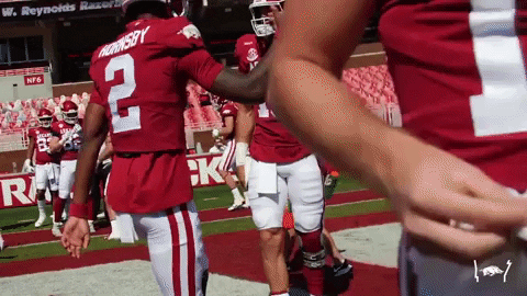 College Football Dancing GIF by Arkansas Razorbacks - Find & Share on GIPHY