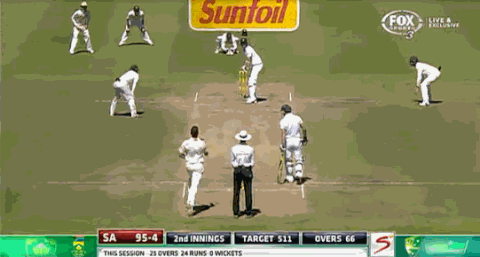 Cricket GIF - Find & Share on GIPHY