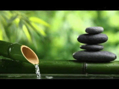 Meditation GIF - Find & Share on GIPHY