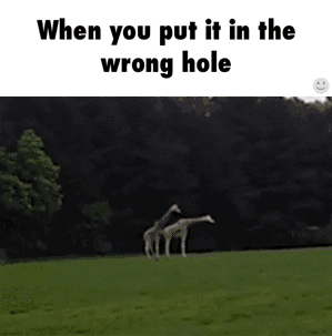 Hole GIFs - Find & Share on GIPHY