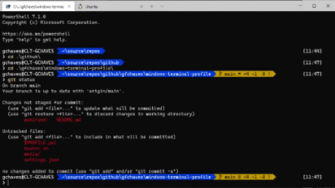 GitHub - gfchaves/windows-terminal-profile: To store my personal ...