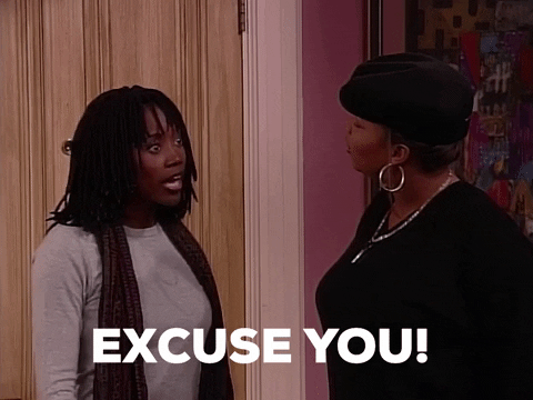 Excuse You Season 5 GIF by Living Single - Find & Share on GIPHY