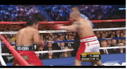 Man Boxing GIF - Find & Share on GIPHY