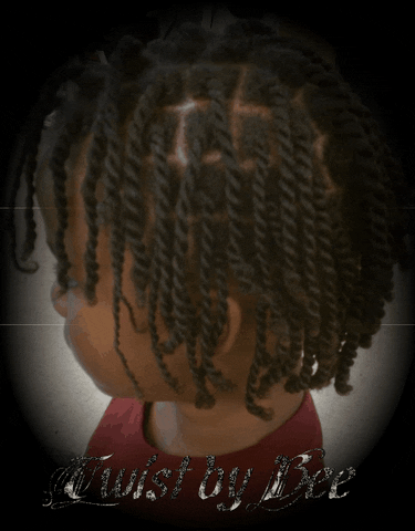 Braids GIF - Find & Share on GIPHY