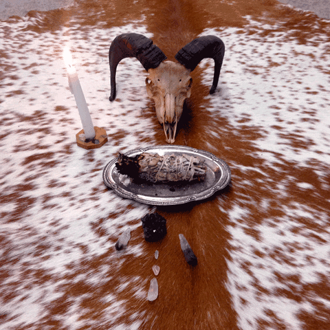 Ritual GIFs - Find & Share on GIPHY