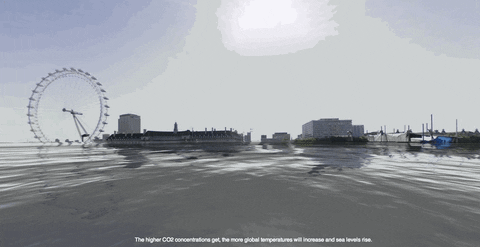 London GIF - Find & Share on GIPHY