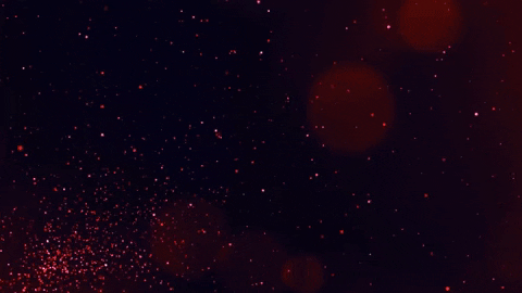 Vintage Album GIF by Elise LeGrow - Find & Share on GIPHY