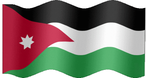 Flag GIF - Find & Share on GIPHY