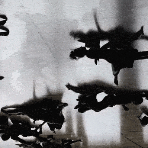 Animation Contact Improvisation GIF by weinventyou - Find & Share on GIPHY