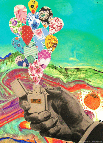 Collage GIF - Find & Share on GIPHY