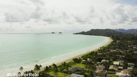Hawaii Views GIF by Hallmark Channel - Find & Share on GIPHY