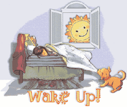 Wake Up GIF - Find & Share on GIPHY