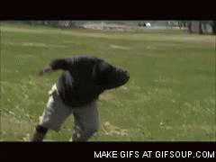 Stop Drop GIF - Find & Share on GIPHY