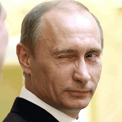 Putin GIF - Find & Share on GIPHY