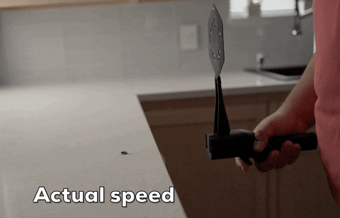 The Boom Swatter: Priest perfects the fly swatter | Indiegogo