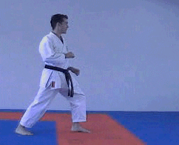 Karate GIFs - Find & Share on GIPHY