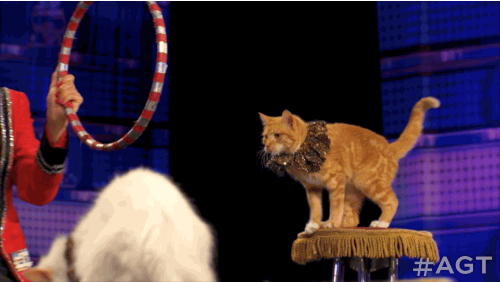 Hoops GIFs - Find & Share on GIPHY