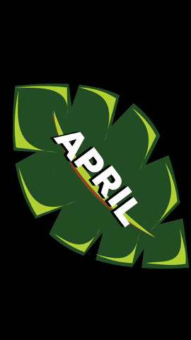 Plant Based Plants GIF by vitaveg eco packaging - Find & Share on GIPHY