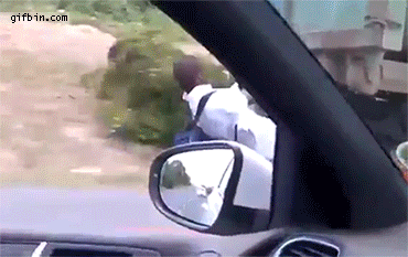 Car Shop GIF - Find & Share on GIPHY