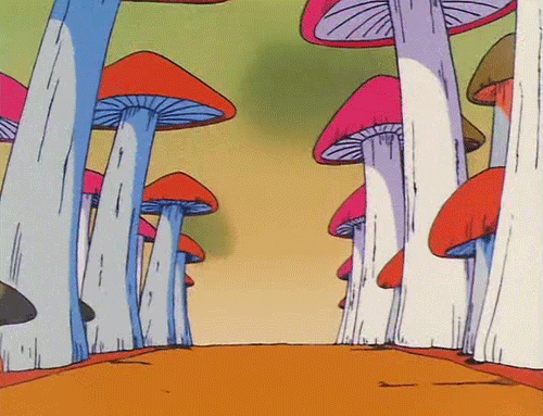 Mushrooms GIF - Find & Share on GIPHY