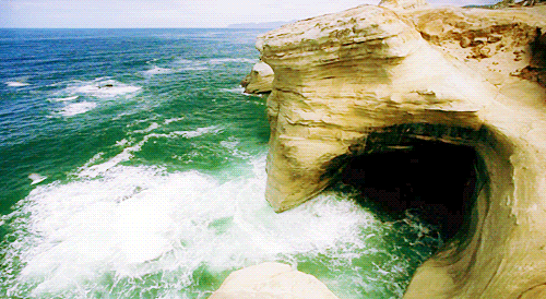 Pacific Northwest Coast GIF - Find & Share on GIPHY