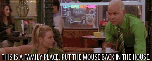 Phoebe Buffay Friends Find And Share On Giphy