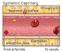Fluid GIF - Find & Share on GIPHY