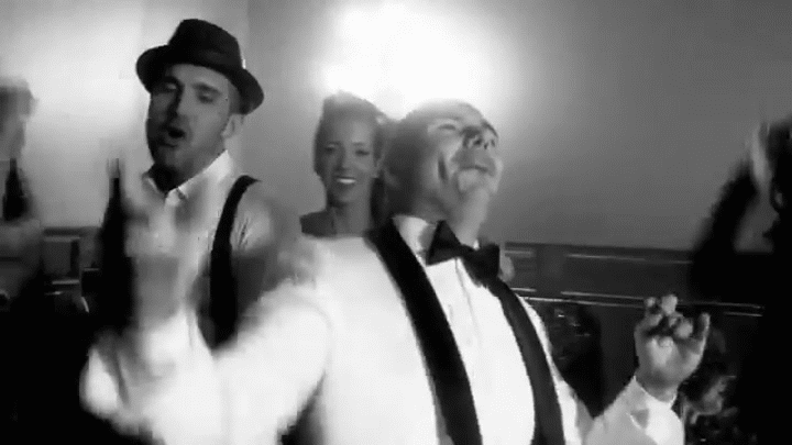 Pitbull GIFs - Find & Share on GIPHY