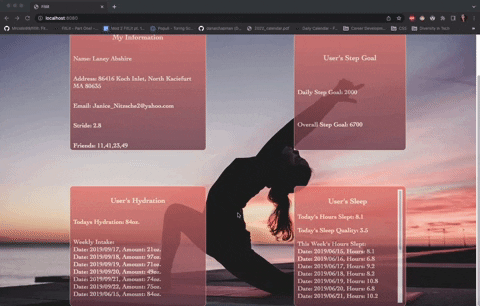 GitHub - danalchapman/FitLit: Turing School of Software & Design's FitLit Project