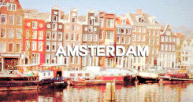 Amsterdam GIFs - Find & Share on GIPHY