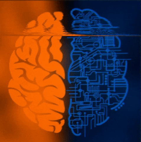 darius-dinu (Darius Dinu) · GitHub