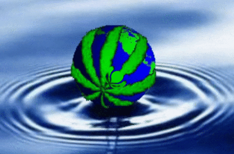 The Drop GIF - Find & Share on GIPHY