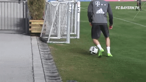 Franck Ribery Football GIF by FC Bayern Munich - Find & Share on GIPHY