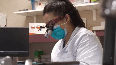 Dental Associates GIF - Find & Share on GIPHY