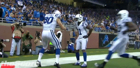 Celebration Touchdown GIF - Find & Share on GIPHY