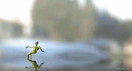 Frog Kermit GIF - Find & Share on GIPHY