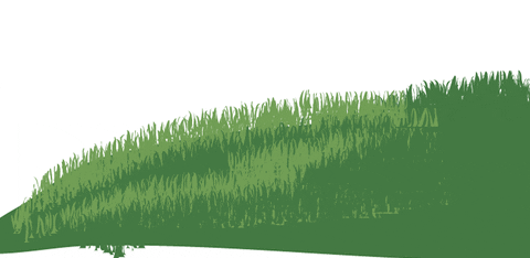 Grass GIF - Find & Share on GIPHY