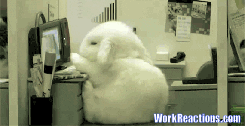 Work GIF - Find & Share on GIPHY