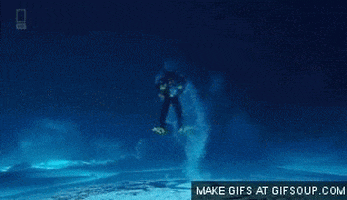 Diving Scuba GIF - Find & Share on GIPHY