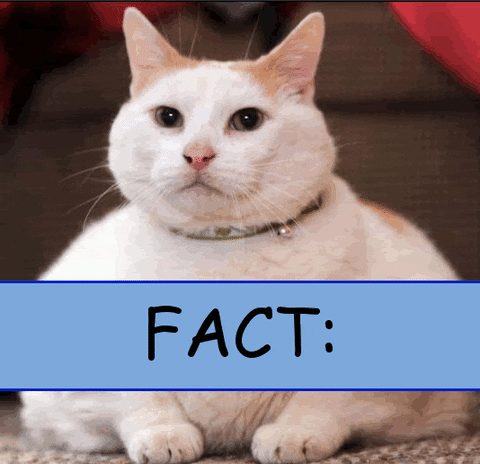 Fact GIF - Find & Share on GIPHY