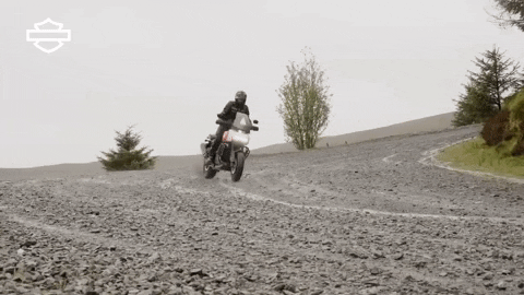 Sport Bike GIF by Harley-Davidson - Find & Share on GIPHY