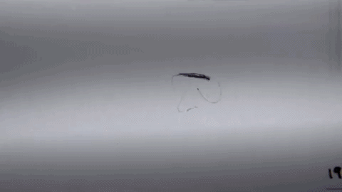 Honda GIF by ADWEEK - Find & Share on GIPHY