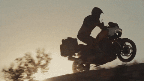 Motorcycle Racing Adventure GIF by Harley-Davidson - Find & Share on GIPHY